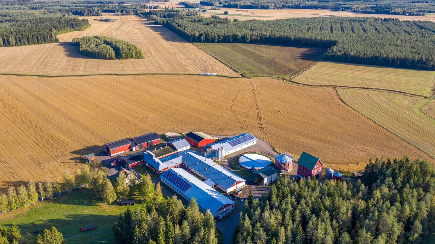 Tietoa meistä – Iso-Tuiskun sika